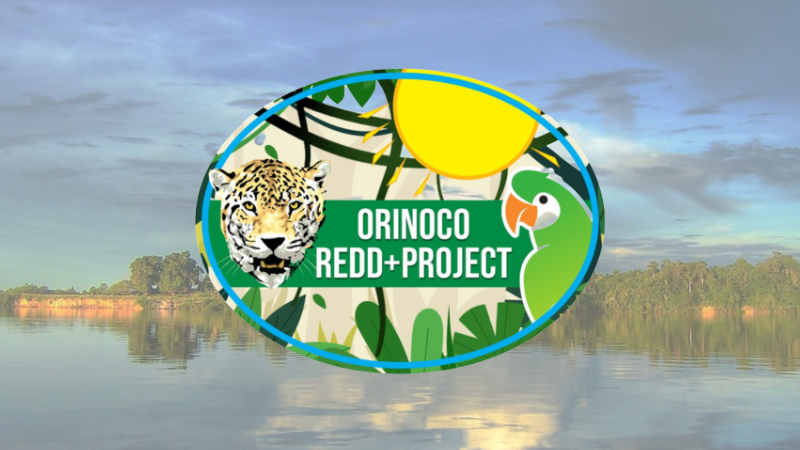 Proyectos | Oviedo s.a.s